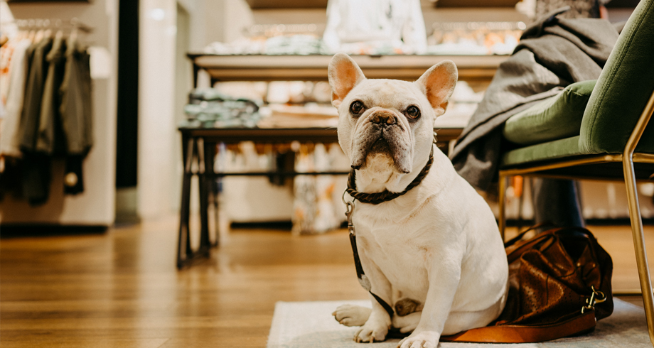 Silomon Aurich Gutscheine